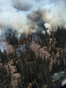 Box Canyon Fire | Beaver Springs Ranch Association