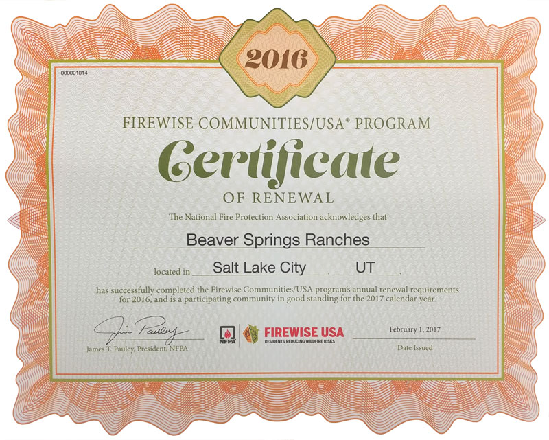 BSR Receives 2016 Firewise Community USA Recognition | Beaver Springs ...
