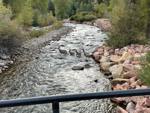 Weber River Resilience Public Open House | Beaver Springs Ranch Association